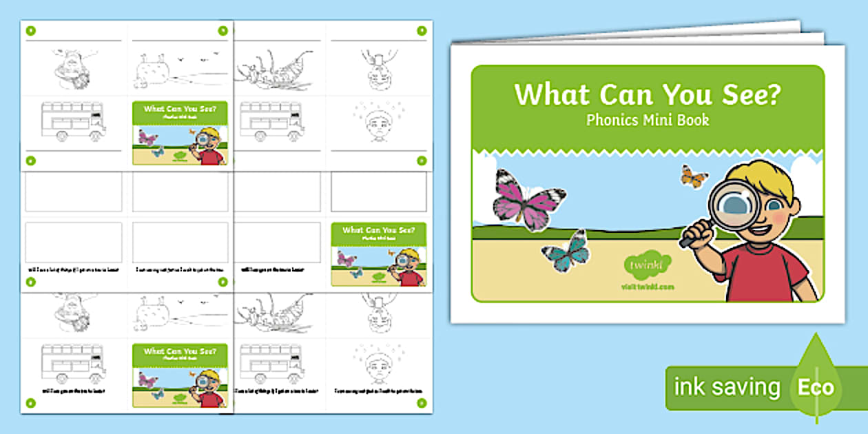 What Can You See? Phase 3 Phonics Mini Story Book - Twinkl