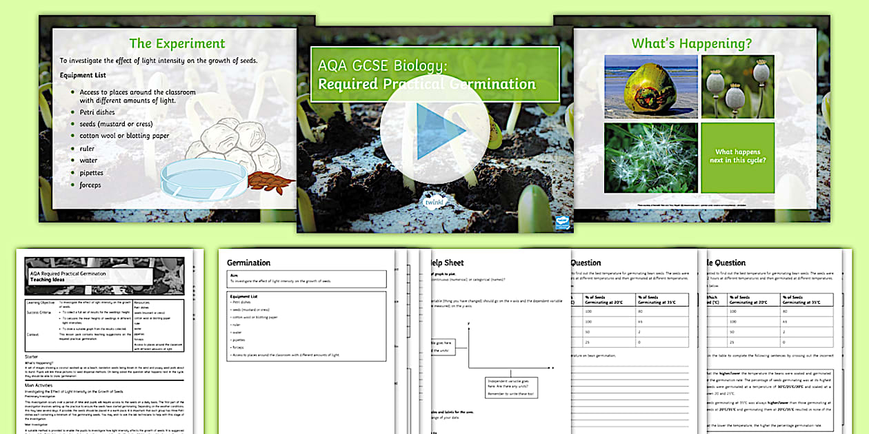 Required Practical Investigation: Germination (teacher made)