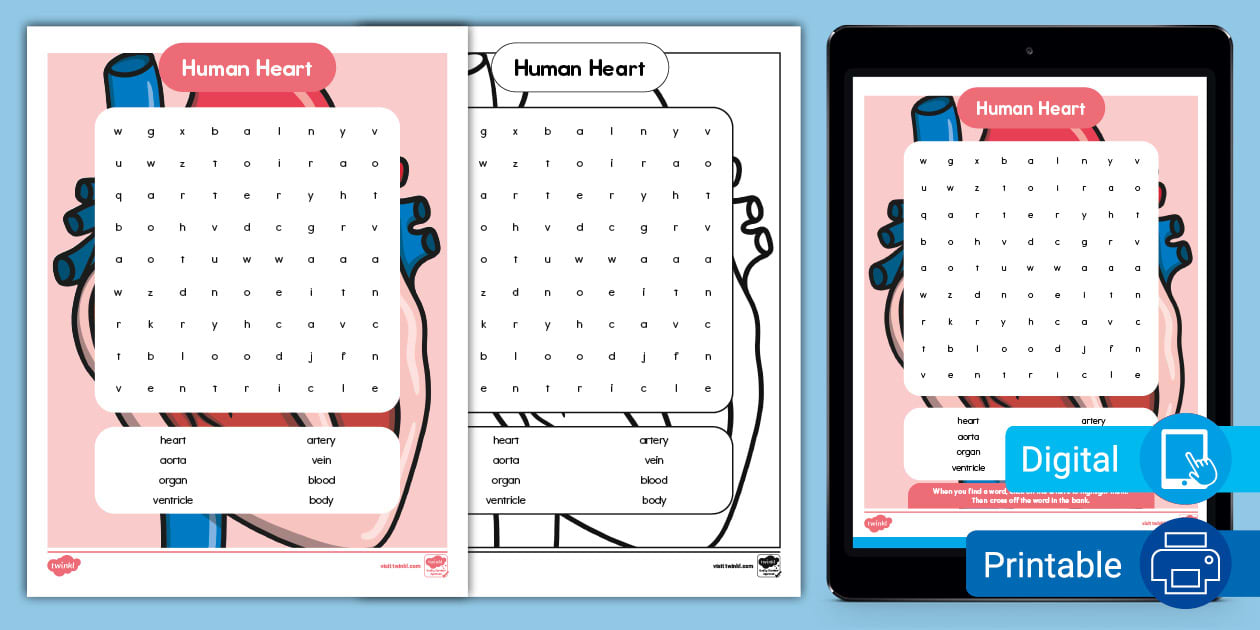 Human Heart Word Search for K-2nd Grade - Twinkl