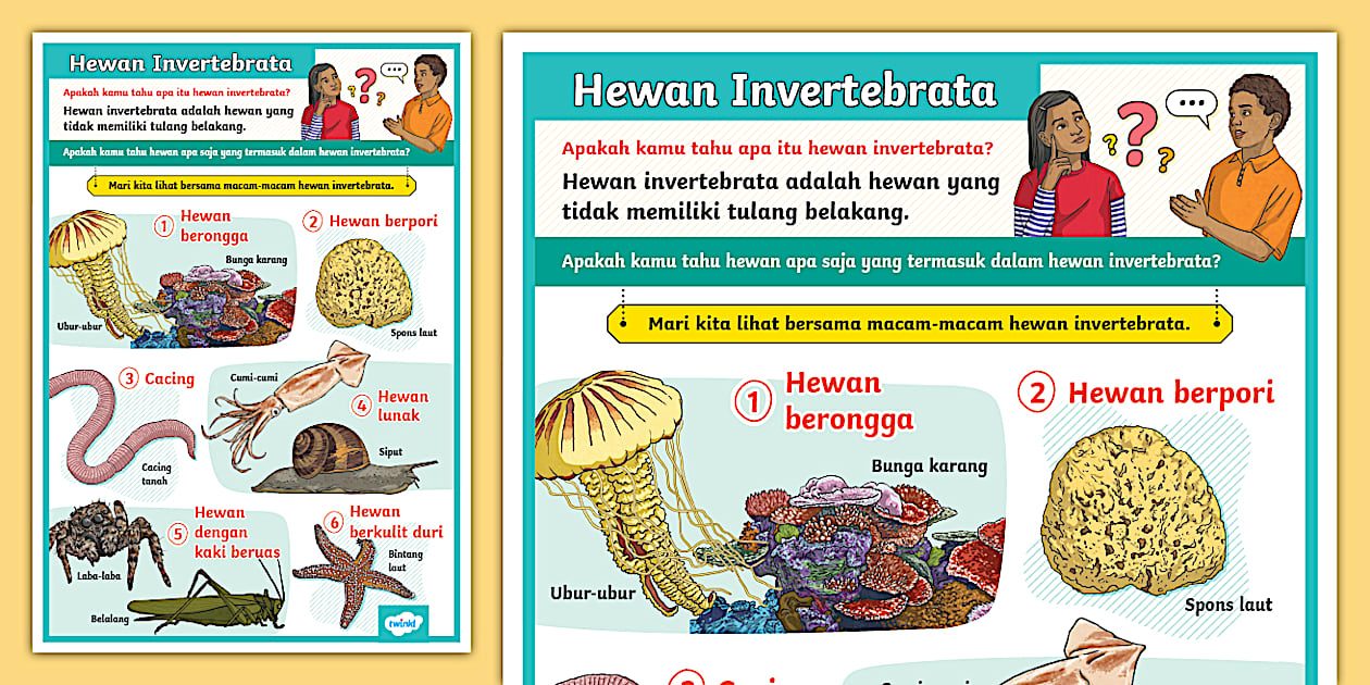 Poster Hewan Invertebrata