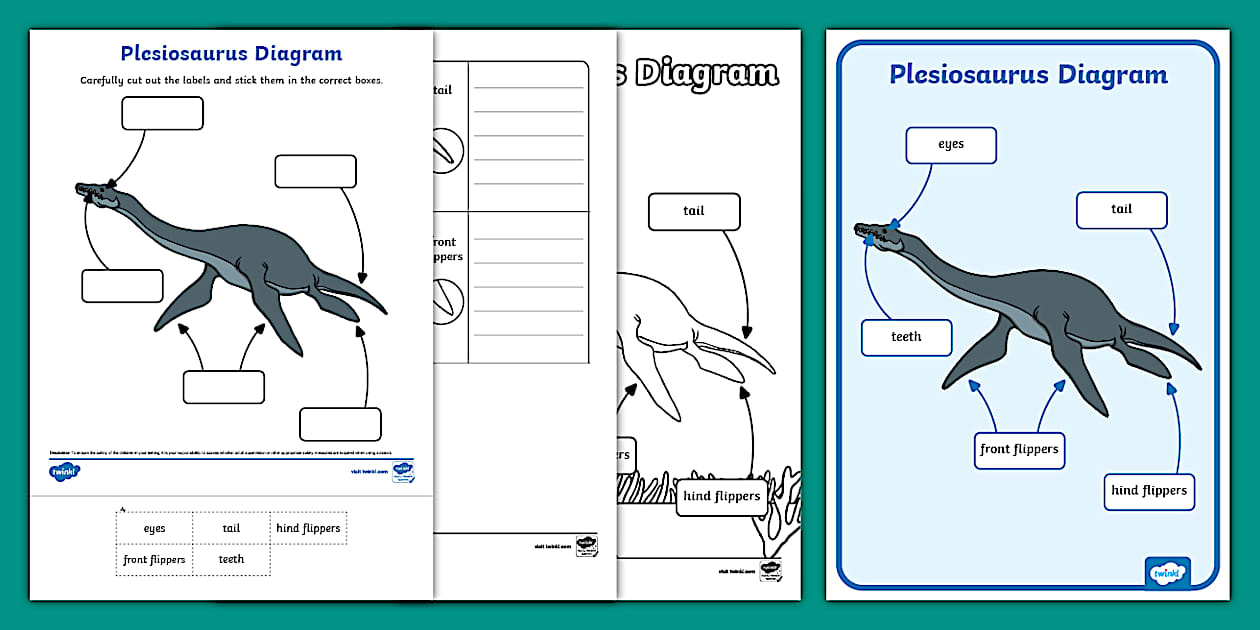 Plesiosaurus Diagram Pack