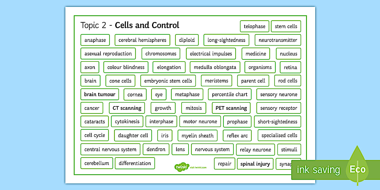 Edexcel Biology Cells and Control Word Mat (teacher made)