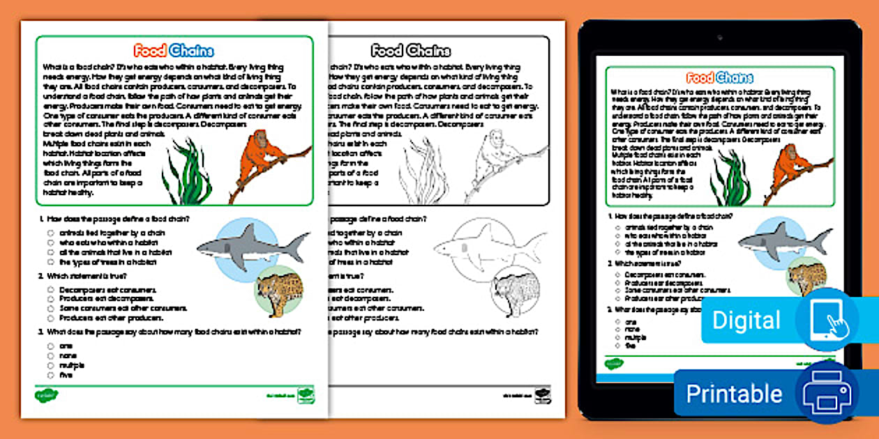 Second Grade Food Chains Reading Passage Comprehension Activity