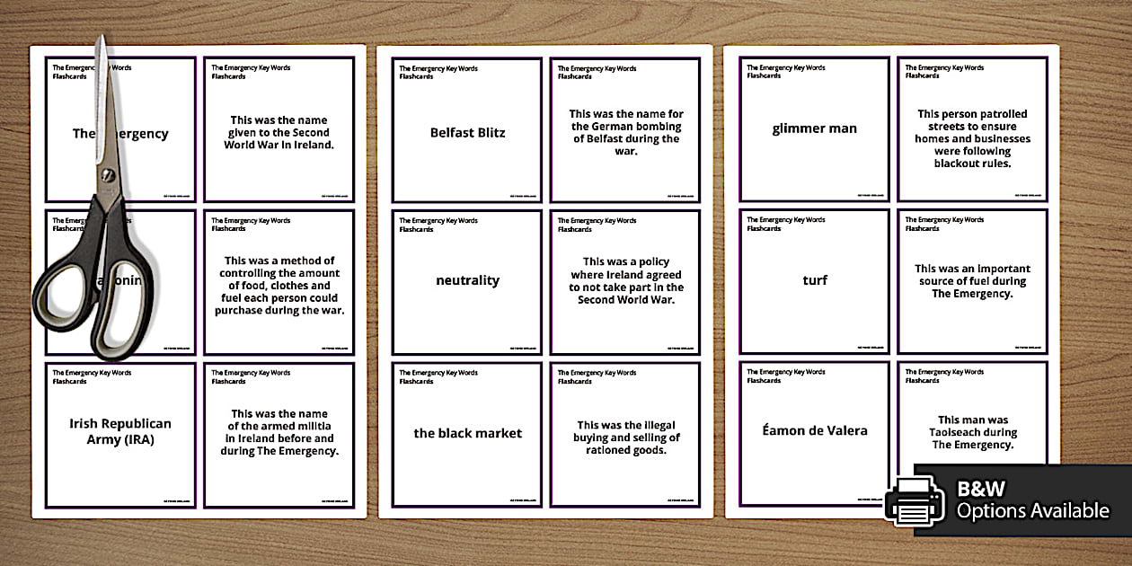 The Emergency Key Words Flashcards