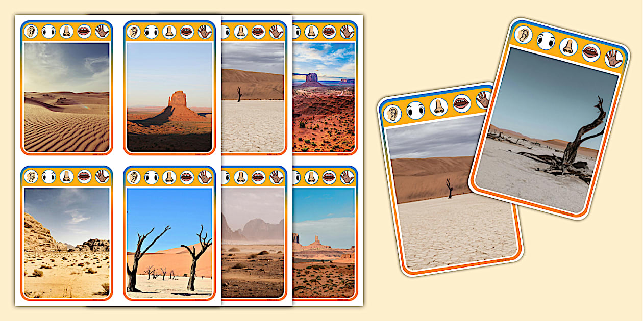 Desert Story Setting Photo Prompt Cards (teacher made)
