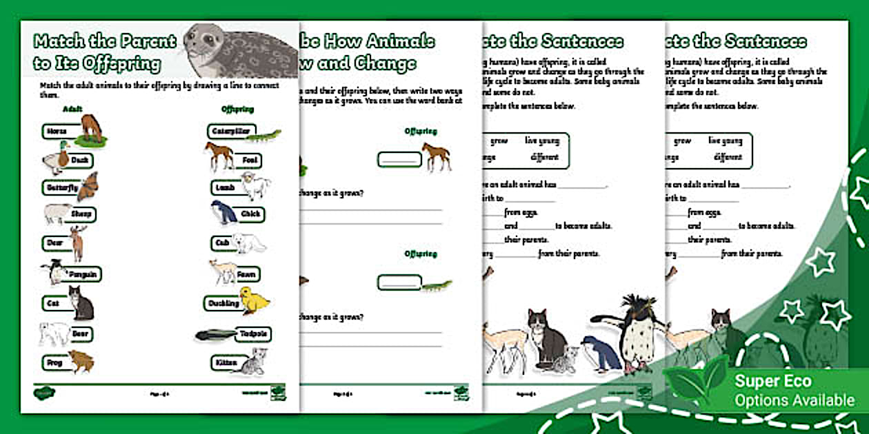 Match the Parent to Its Offspring (Ages 6 - 7) - Twinkl