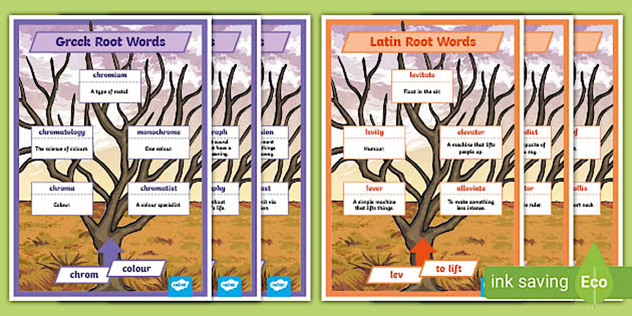 Editable Etymology Display Posters (teacher made) - Twinkl