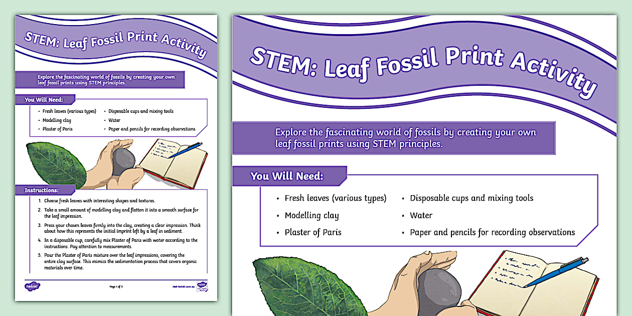 STEM Fossil Leaf Print Creation (teacher made) - Twinkl