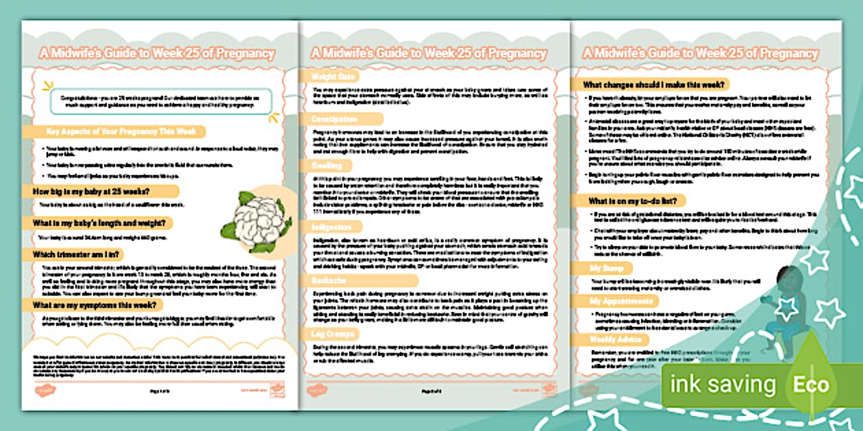 A Guide to Week 25 of Pregnancy (teacher made) - Twinkl
