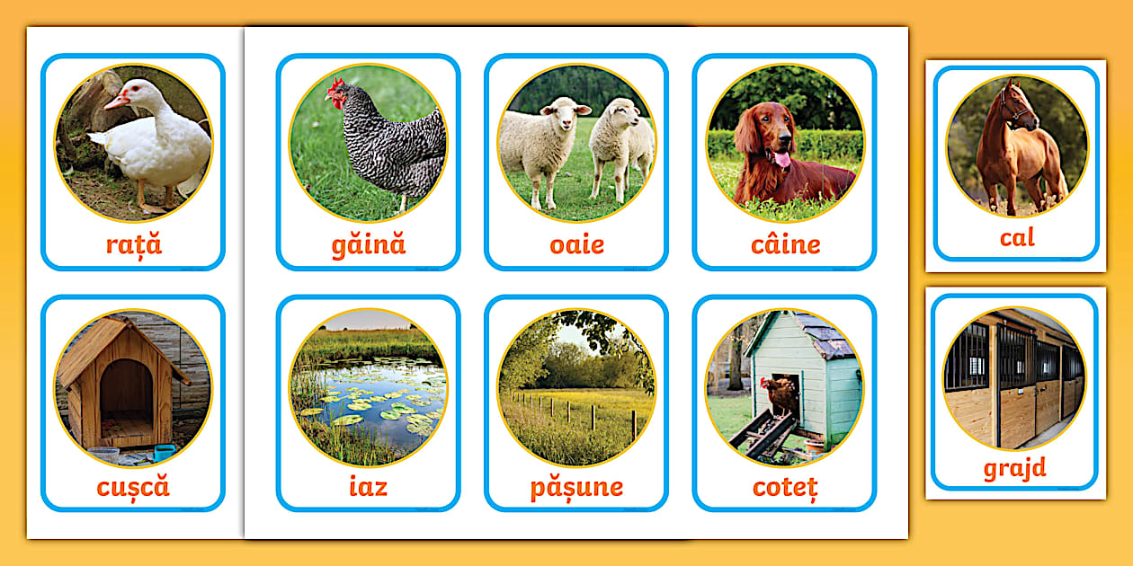 Casele animalelor domestice – Cartonașe pereche
