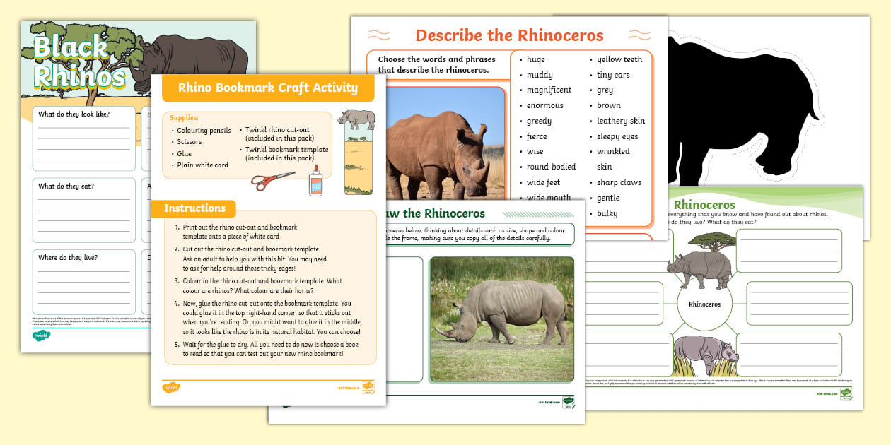 Rhinos Activity Pack (teacher made) - Twinkl