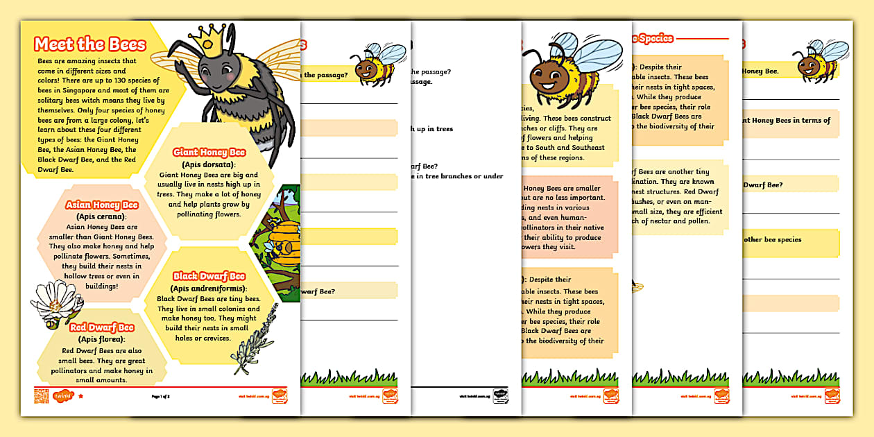 Singapore Meet The Bees Differentiated Reading Comprehension