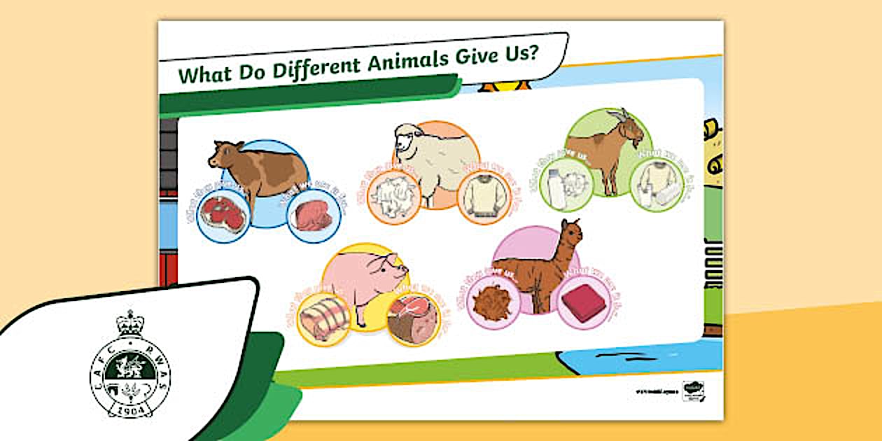 FREE! - Spring Festival: What Do Different Animals Give Us?