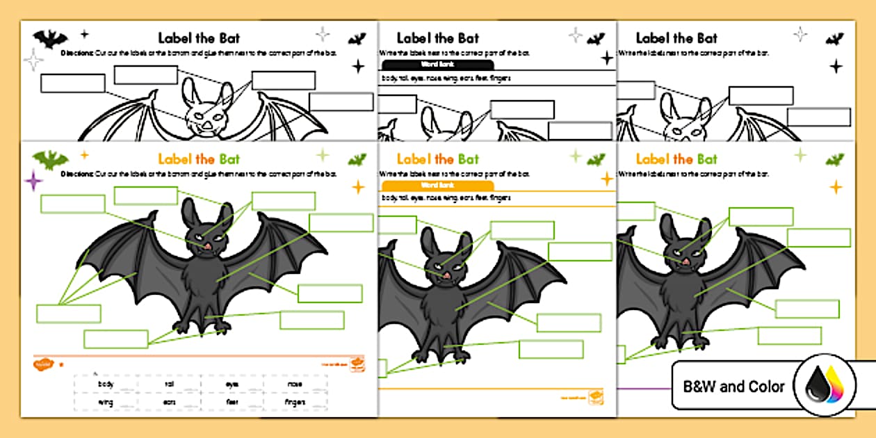 Label a Bat Worksheet | Halloween Resources | Twinkl USA