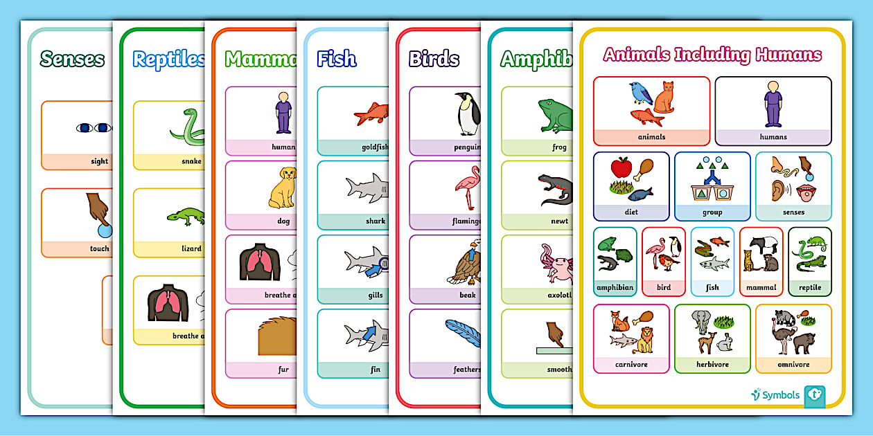 Twinkl Symbols: Animals Including Humans Vocabulary Mat