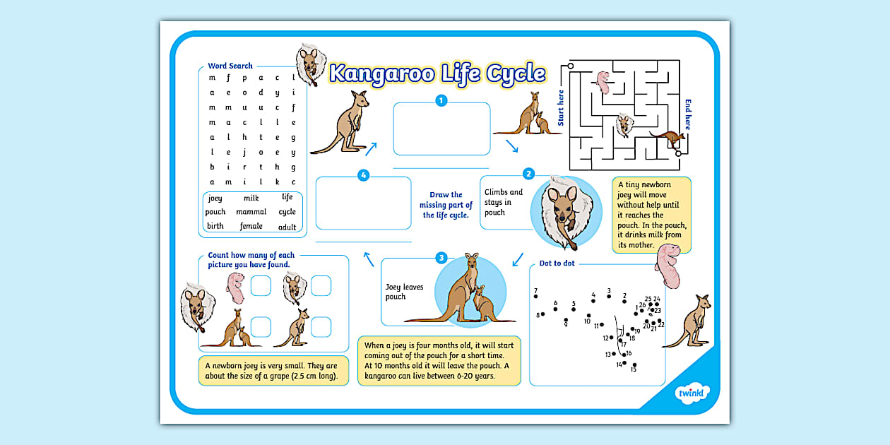 Kangaroo Activity Mat (Teacher-Made) - Twinkl