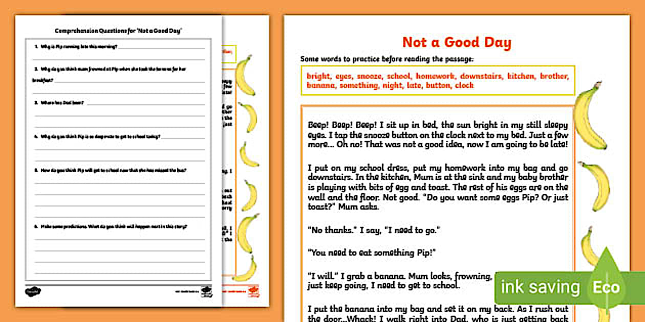 Decodable Text with Comprehension Questions - Not a Good Day
