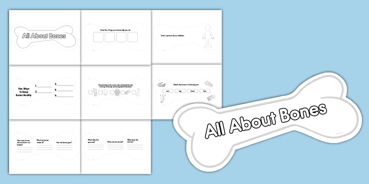 All About Bones: Make a Mini Research Book for K-2nd Grade