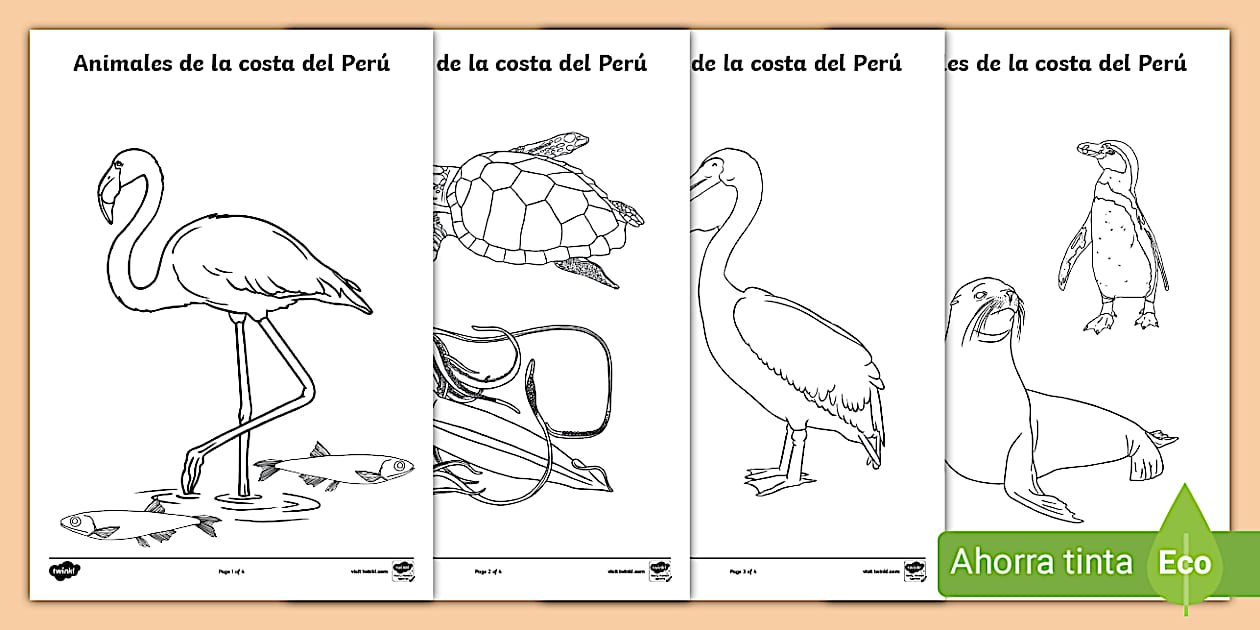 Ficha: Animales de la costa para colorear | Twinkl Perú