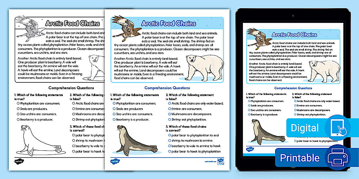 Second Grade Arctic Food Chain Reading Passage Comprehension