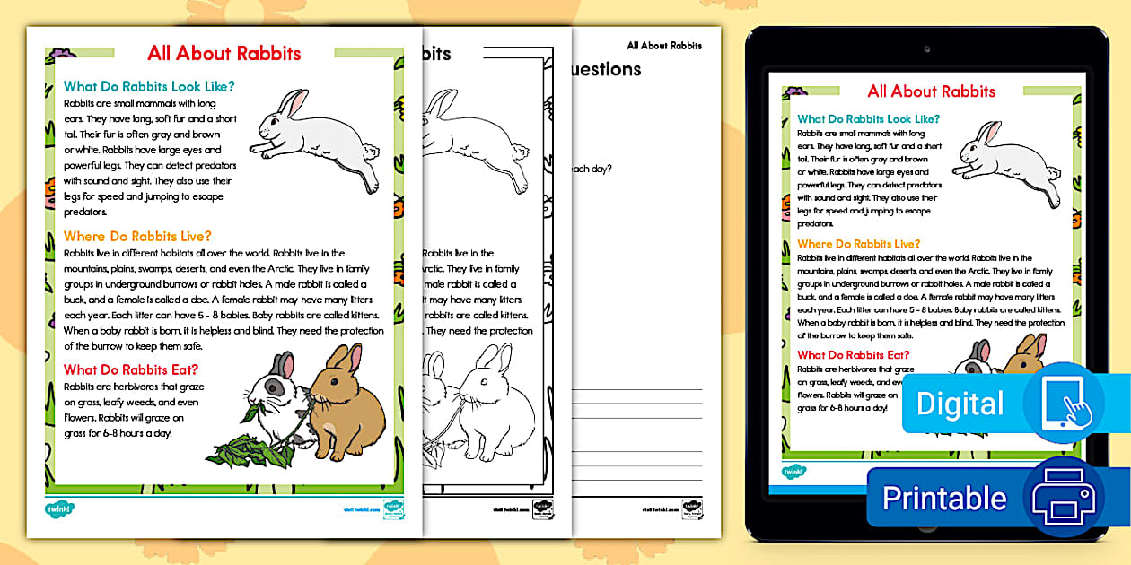 2nd Grade All About Rabbits Reading Comprehension Activity Worksheet
