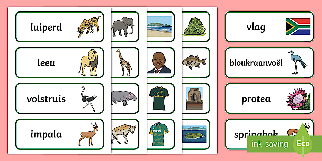 Suid Afrikaanse Simbole en Diere Woordkaarte (teacher made)