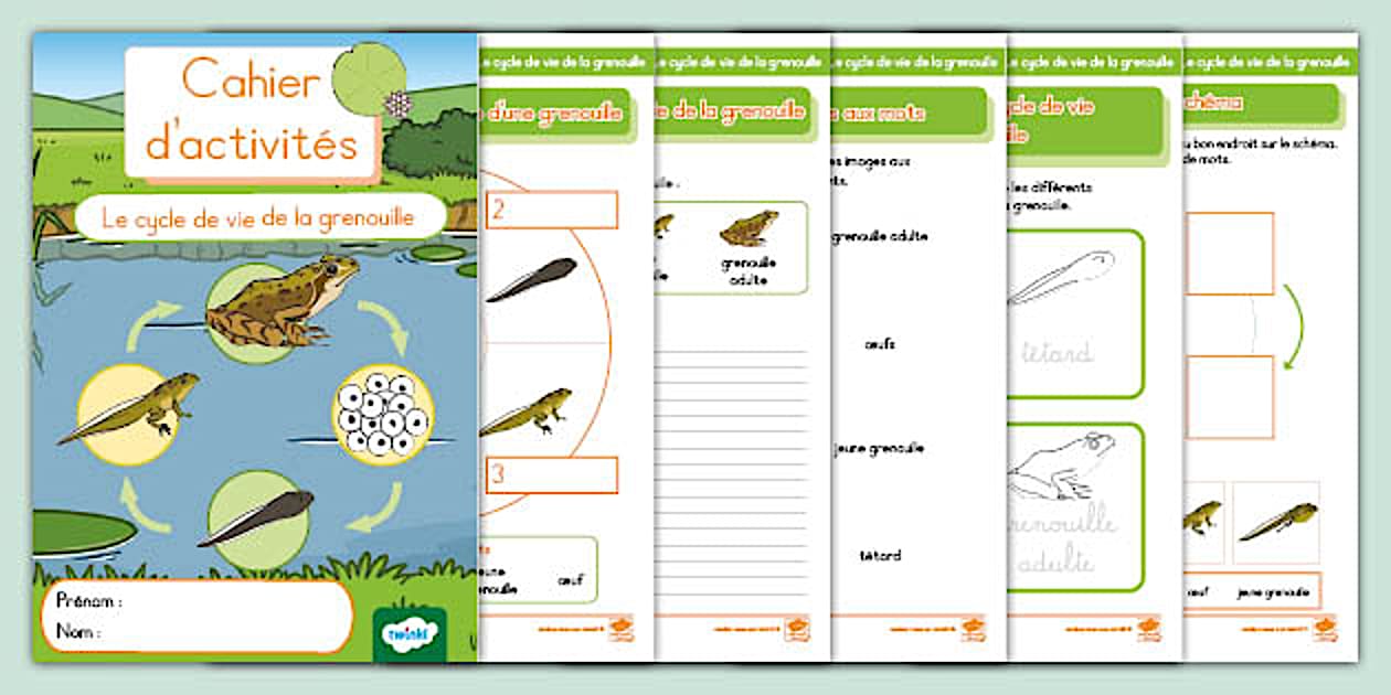 Cahier d'activités sur le cycle de vie de la grenouille