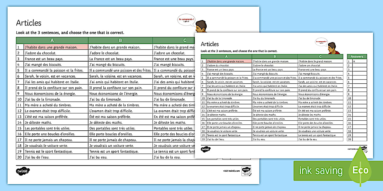 French Articles Choose the Right One Worksheet / Worksheet-French
