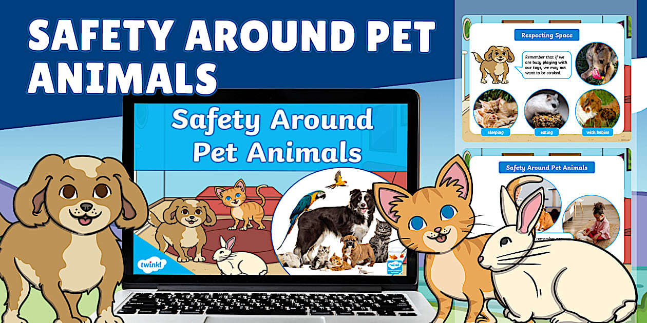 Safety Around Pet Animals PowerPoint | Twinkl
