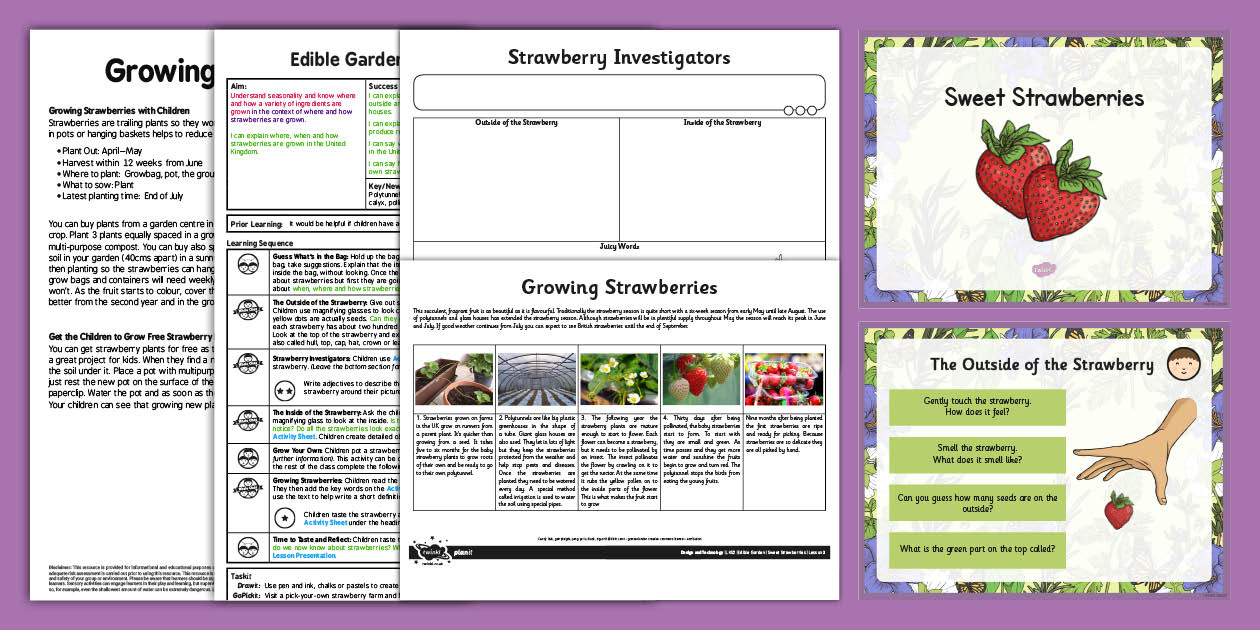 D&T: Edible Garden: Sweet Strawberries LKS2 Lesson Pack 3