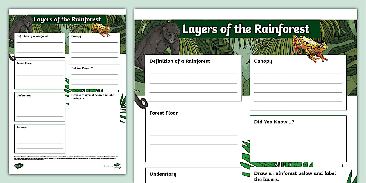 Layers of the Rainforest Fact File Template - Twinkl