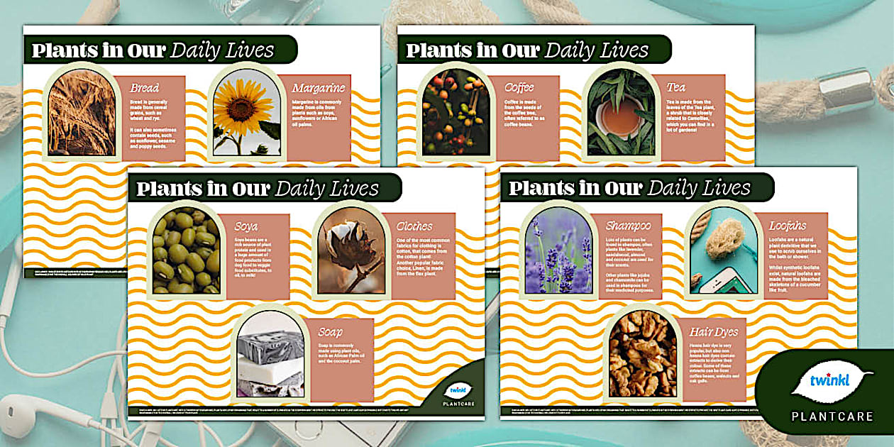 Plants in our Daily Lives, Plants, Plantcare, How we use