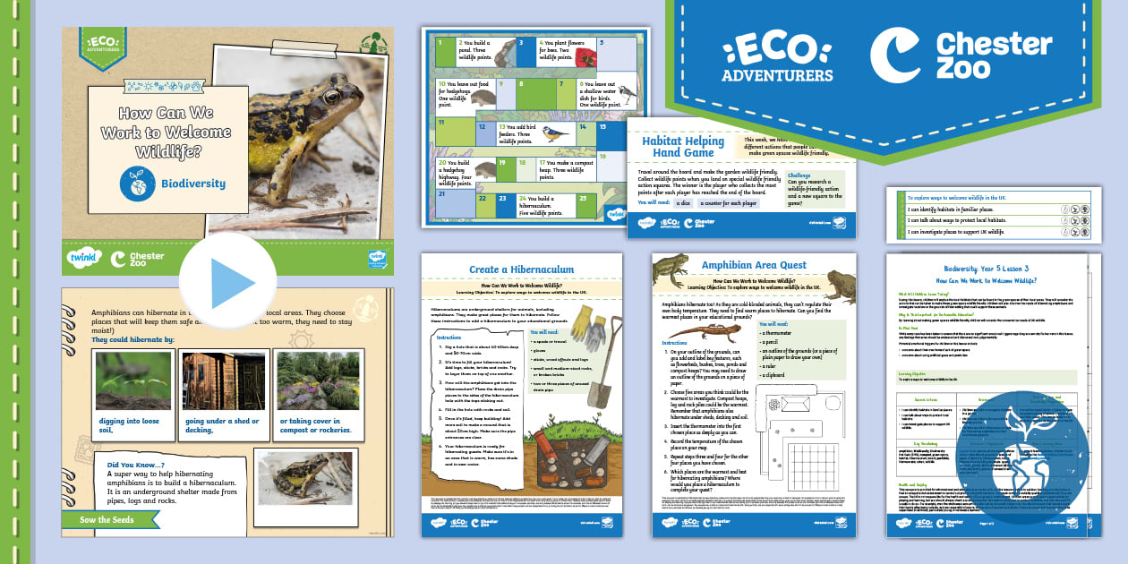 FREE! - Year 5 Biodiversity Lesson 3 Pack - Twinkl