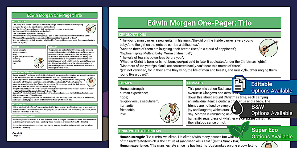 Edwin Morgan One-Pager: Trio (teacher made) - Twinkl