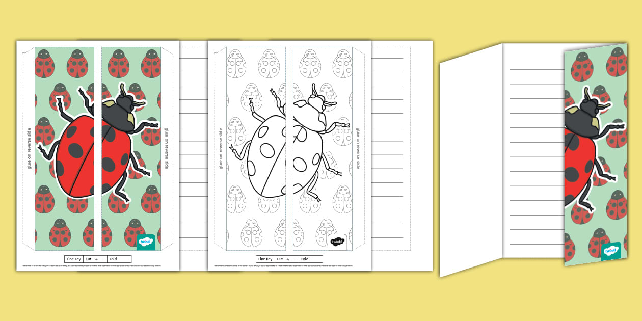 Ladybug Folding Writing Template (teacher made) - Twinkl