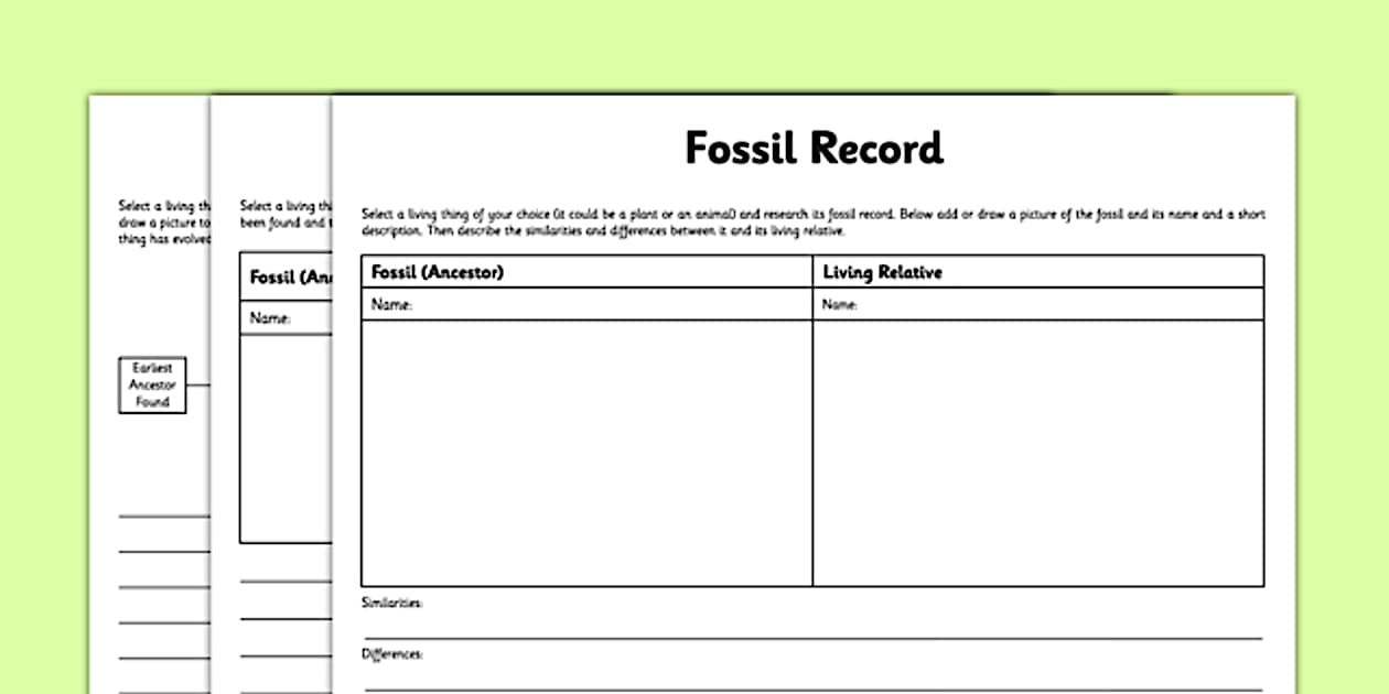 Differentiated Fossil Record Activity Template | Twinkl