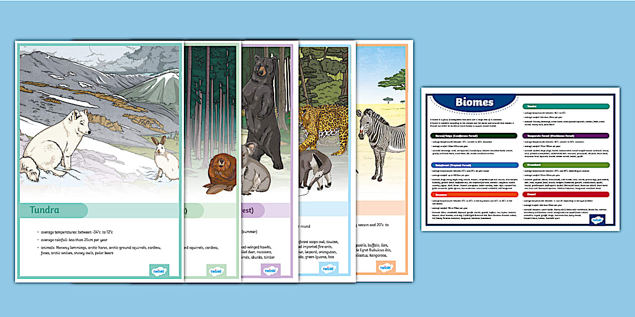 Animals from Each Biome Poster Pack | HASS Geography