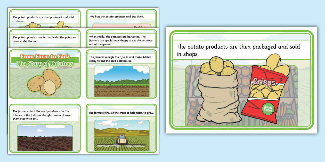 From Farm to Fork: The Story of Potatoes Sequencing Cards