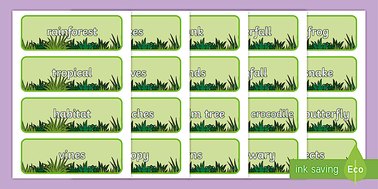 Australian Rainforest Vocabulary Word Cards (teacher made)