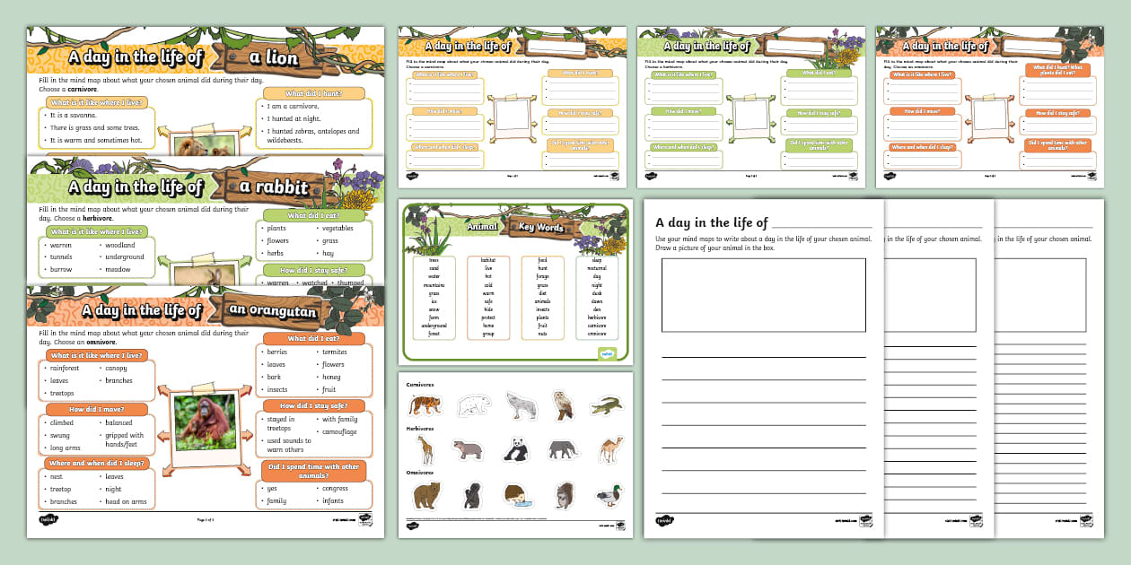 A Day in the Life of... KS1 Animal Activity Pack - Twinkl