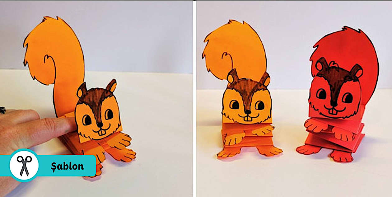 Veverițe săltărețe – Activitate practică