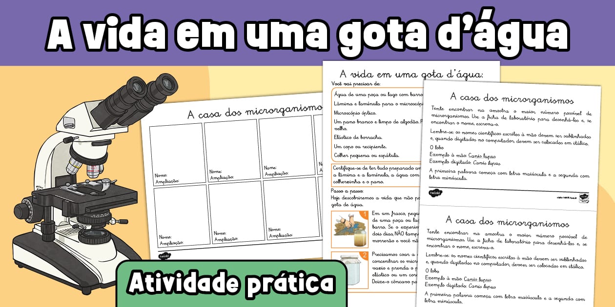 Experimento de ciências: vida em água