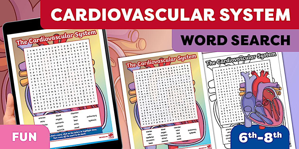 The Cardiovascular System Word Search for 6th-8th Grade