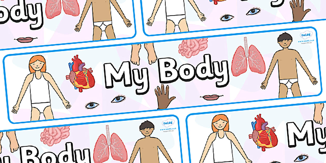 👉 'My Body' Display Banner | Body Parts Poster | Printable
