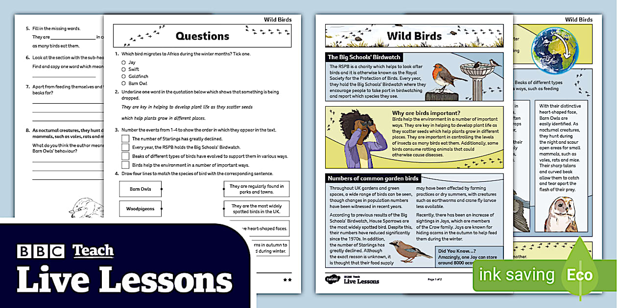 FREE! - BBC Winterwatch 2023 Wild Birds Differentiated Reading