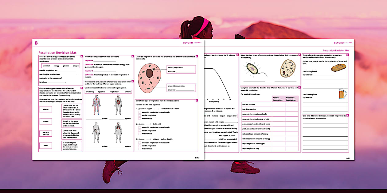 KS3 Respiration Revision Mat Foundation | Beyond Science