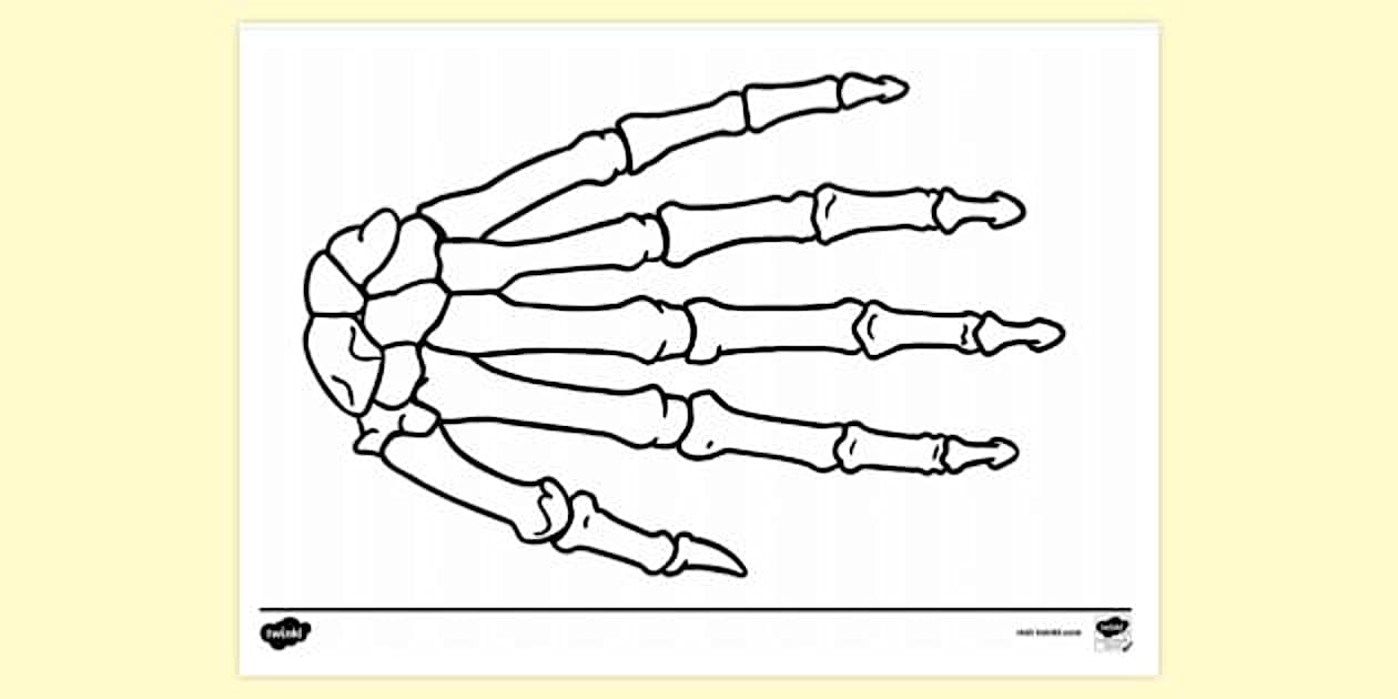 Wrist Bone Colouring | Colouring Sheets - Twinkl