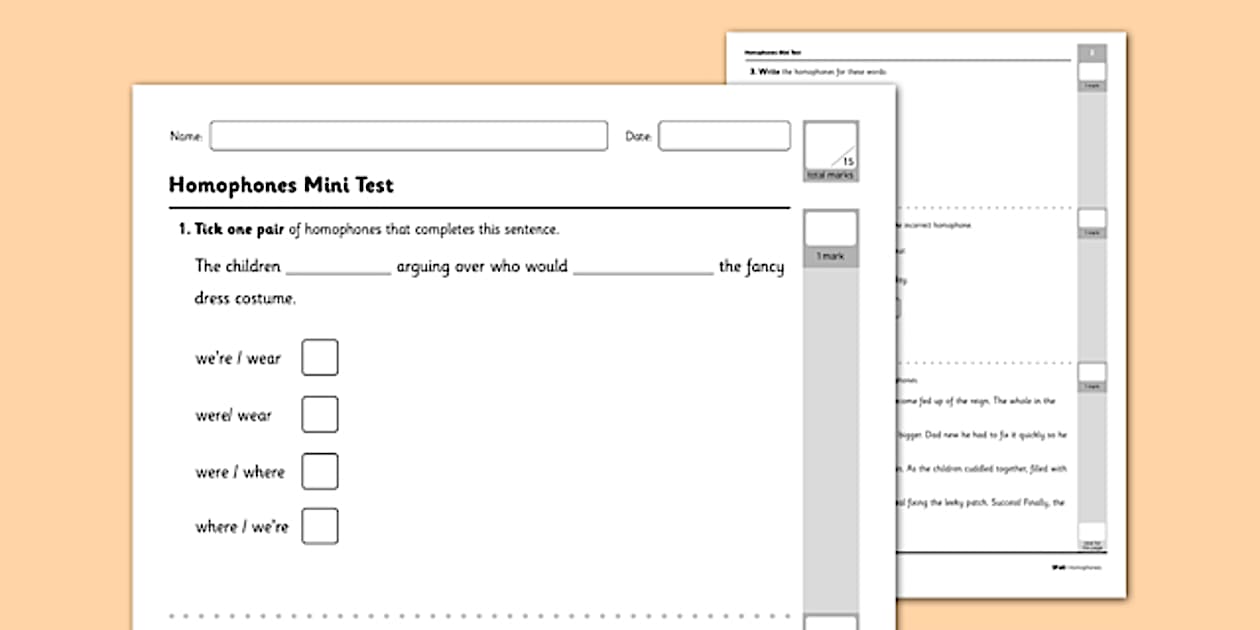 Editable Homophones Test - Twinkl