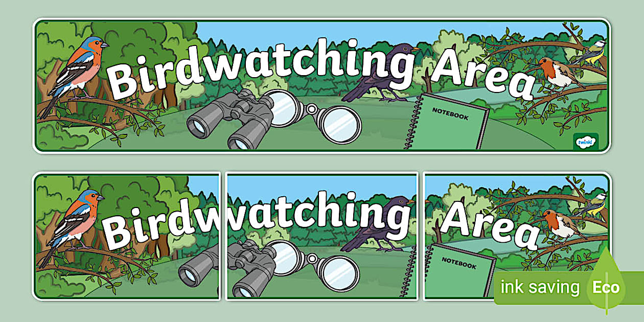 Birdwatching Display Banner | Twinkl (teacher made) - Twinkl