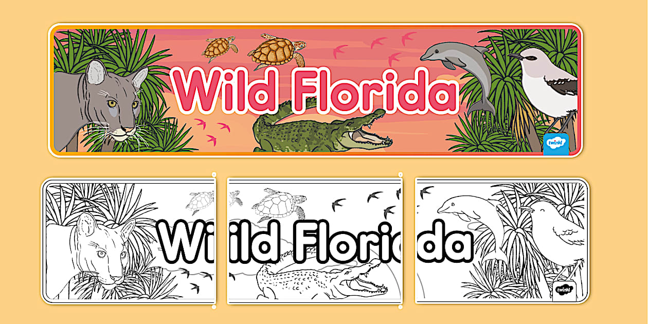 Wild Florida Banner (teacher made) - Twinkl